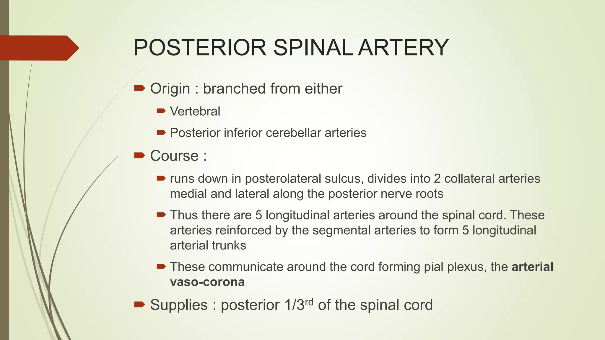 SPINAL CORD NEUROANATOMY BY Dr.Deepika.T | PPTX