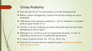 SPINAL CORD NEUROANATOMY BY Dr.Deepika.T | PPTX