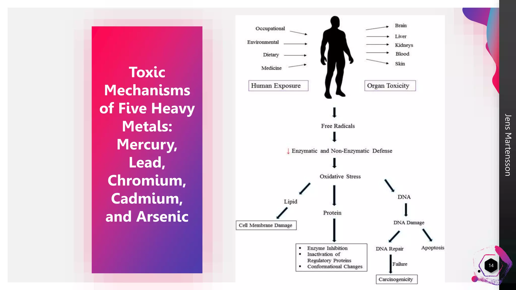 Heavy metals and risk management | PPTX