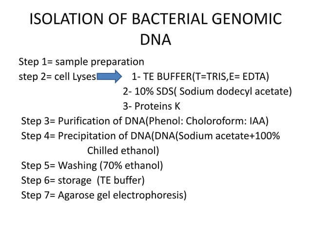 Pathogenic /Nonpathogenic Bacteria | PPT