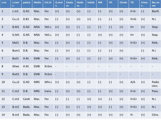 Pathogenic /Nonpathogenic Bacteria | PPT