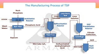 Slides for Triple Super Phosphate(TSP) | PPTX
