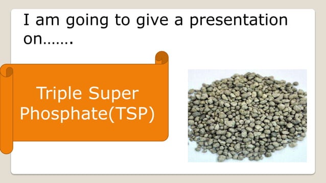 Slides for Triple Super Phosphate(TSP) | PPTX | Agriculture | Industries