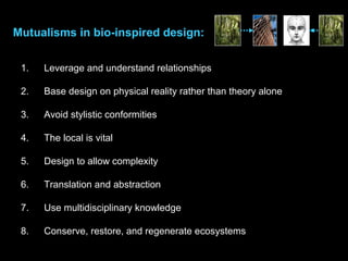 An architectural love of the living: Bio-inspired design in the pursuit ...