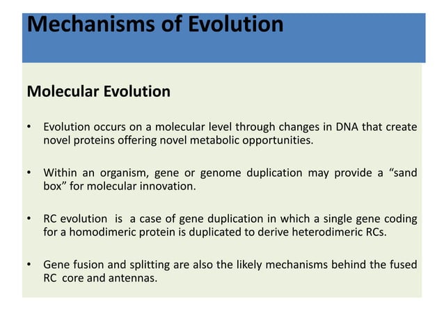 Evolution of photosynthesis | PPTX