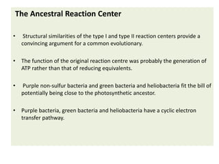 Evolution of photosynthesis | PPTX