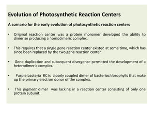 Evolution of photosynthesis | PPTX
