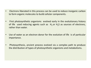 Evolution of photosynthesis | PPTX