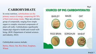 GROWER AND FINISHER SWINE NUTRIENT REQUIREMENT.pptx