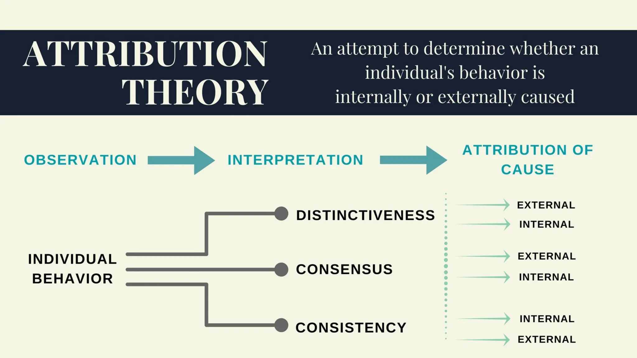THE PERCEPTUAL PROCESS IN THE FIELD OF HEALTHCARE | PPTX