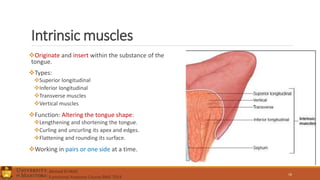 Tongue Anatomy | PPTX