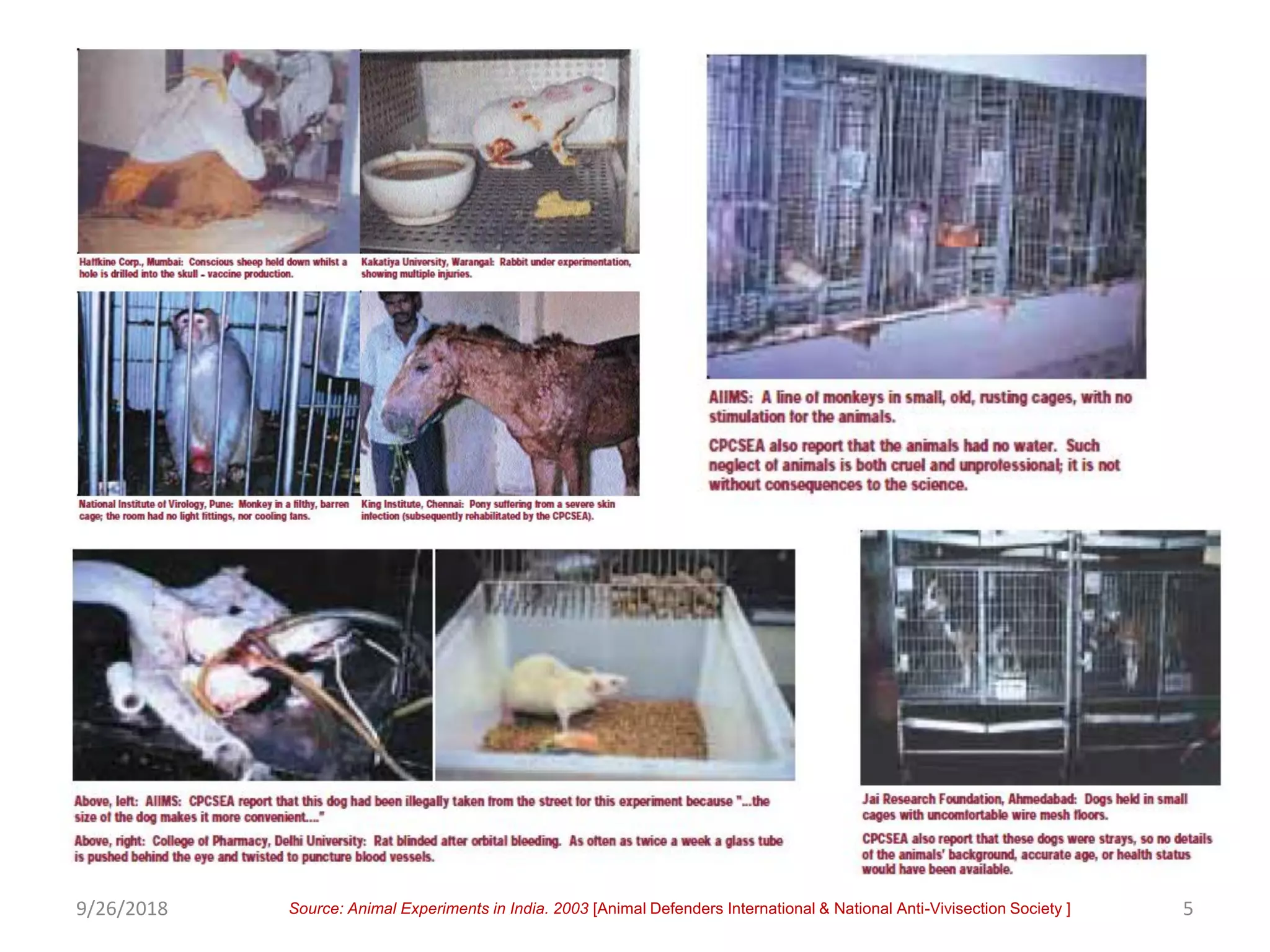 Ethical issues in animal experimentation (with emphasis on CPCSEA ...