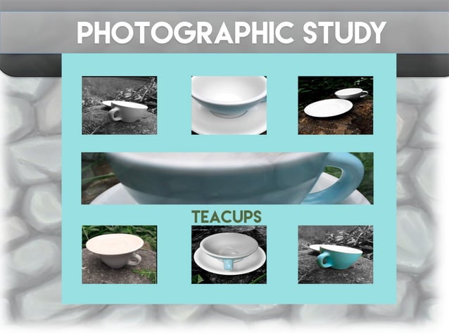 Final presentation comm 125 | PDF