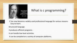 Basic C Structure and related terms with example | PPTX