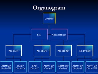 Internal Audit- Synopsis | PPT