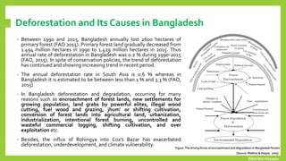 Forest Resources of the World and Bangladesh | PDF