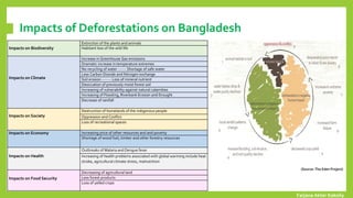 Forest Resources of the World and Bangladesh | PDF