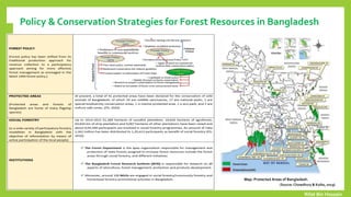 Forest Resources of the World and Bangladesh | PDF