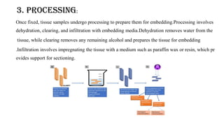 diagnosis of pathalogical tissue pptx... | PPT