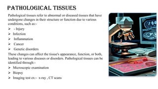 diagnosis of pathalogical tissue pptx... | PPT