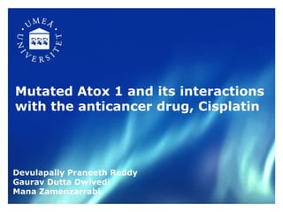Mutated Atox 1 and its interactions with the anticancer drug Cisplatin ...