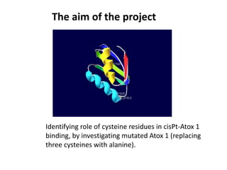 Mutated Atox 1 and its interactions with the anticancer drug Cisplatin ...