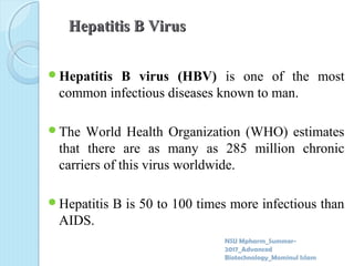Hepatitis B Vaccine Production
