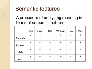 Semantics (Introduction To Linguistics) | PPTX