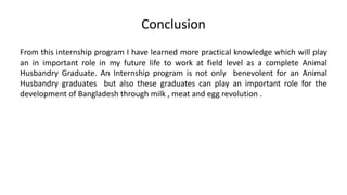 Final presentation of akib(internship) | PPTX