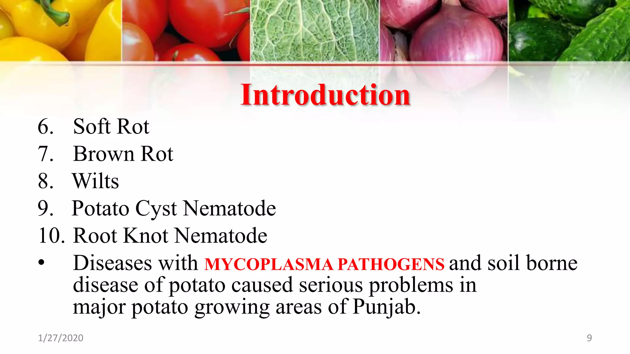 Potato Diseases and Its Control in Pakistan | PPTX