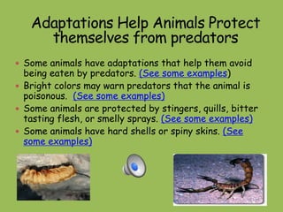 Final presentation on adaptations | PPT