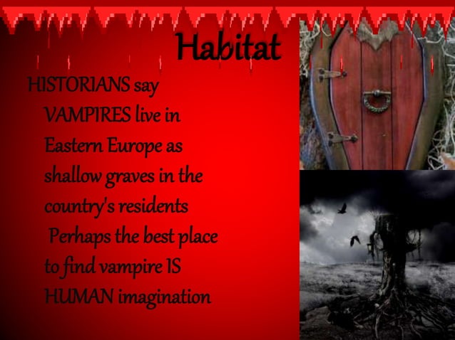 Final presentation on vampires | PPTX