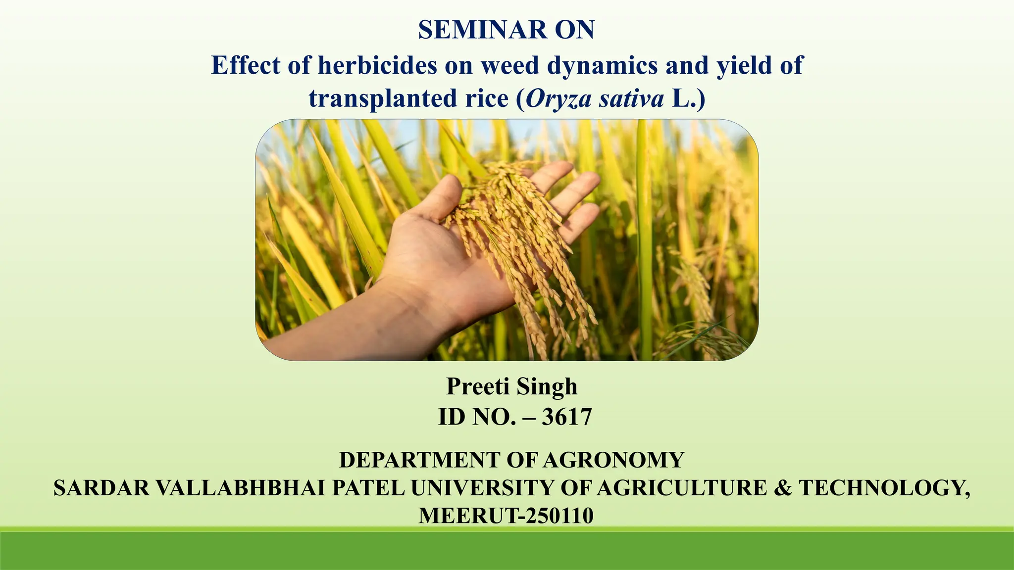 Effect of herbicides on weed dynamics and yield of transplanted rice.pptx