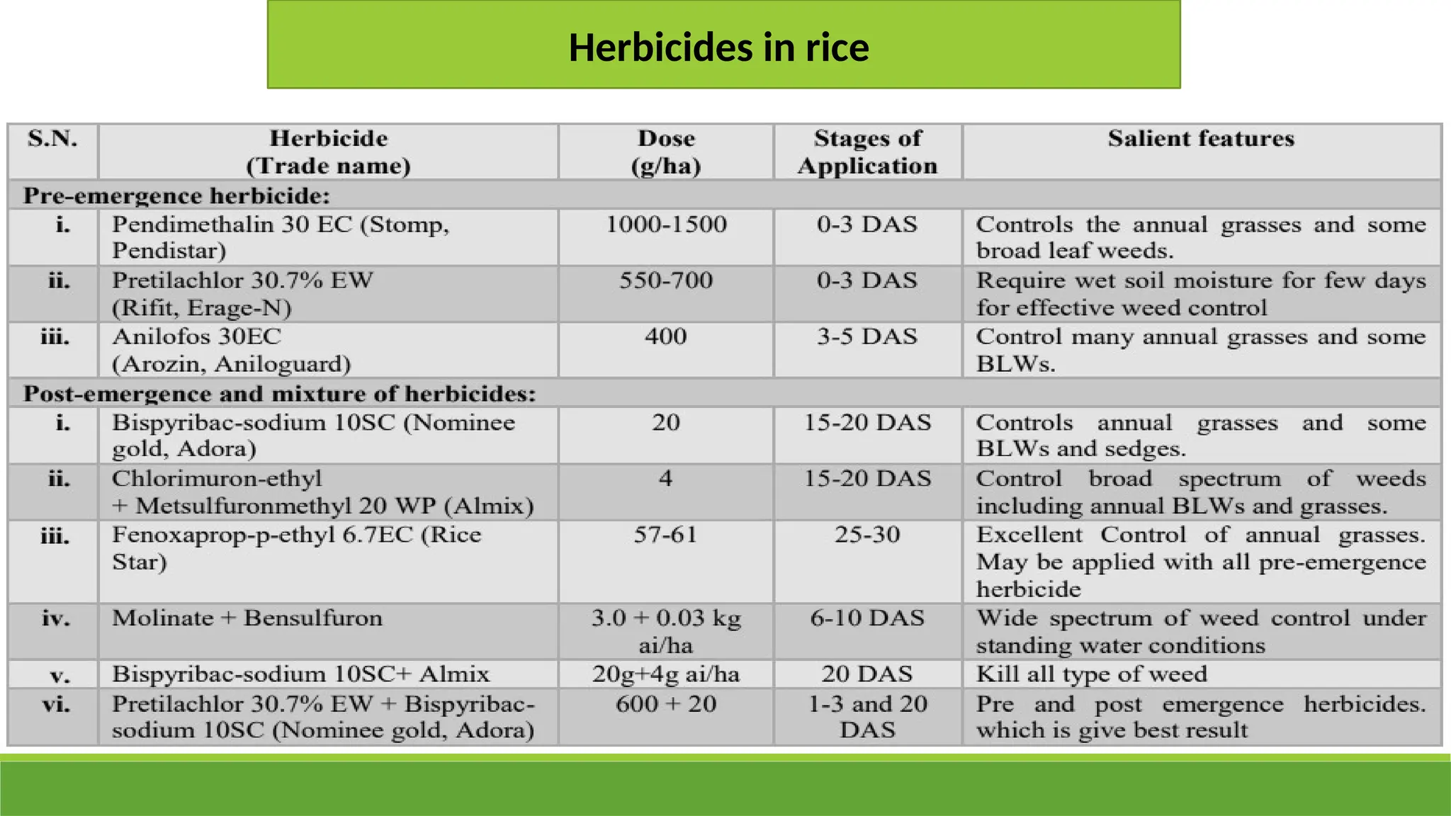 Effect of herbicides on weed dynamics and yield of transplanted rice.pptx