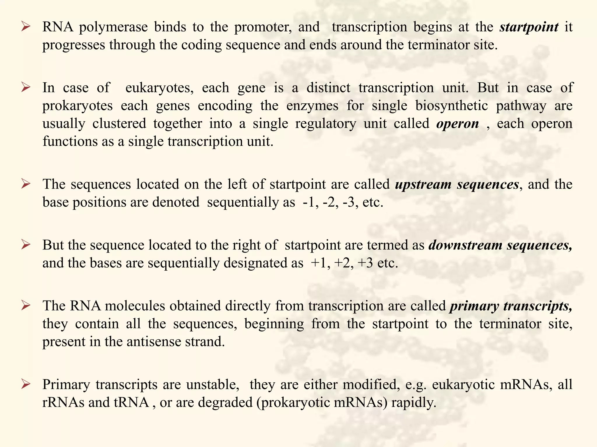 Role of DNA and RNA in Protein Synthesis | PPTX