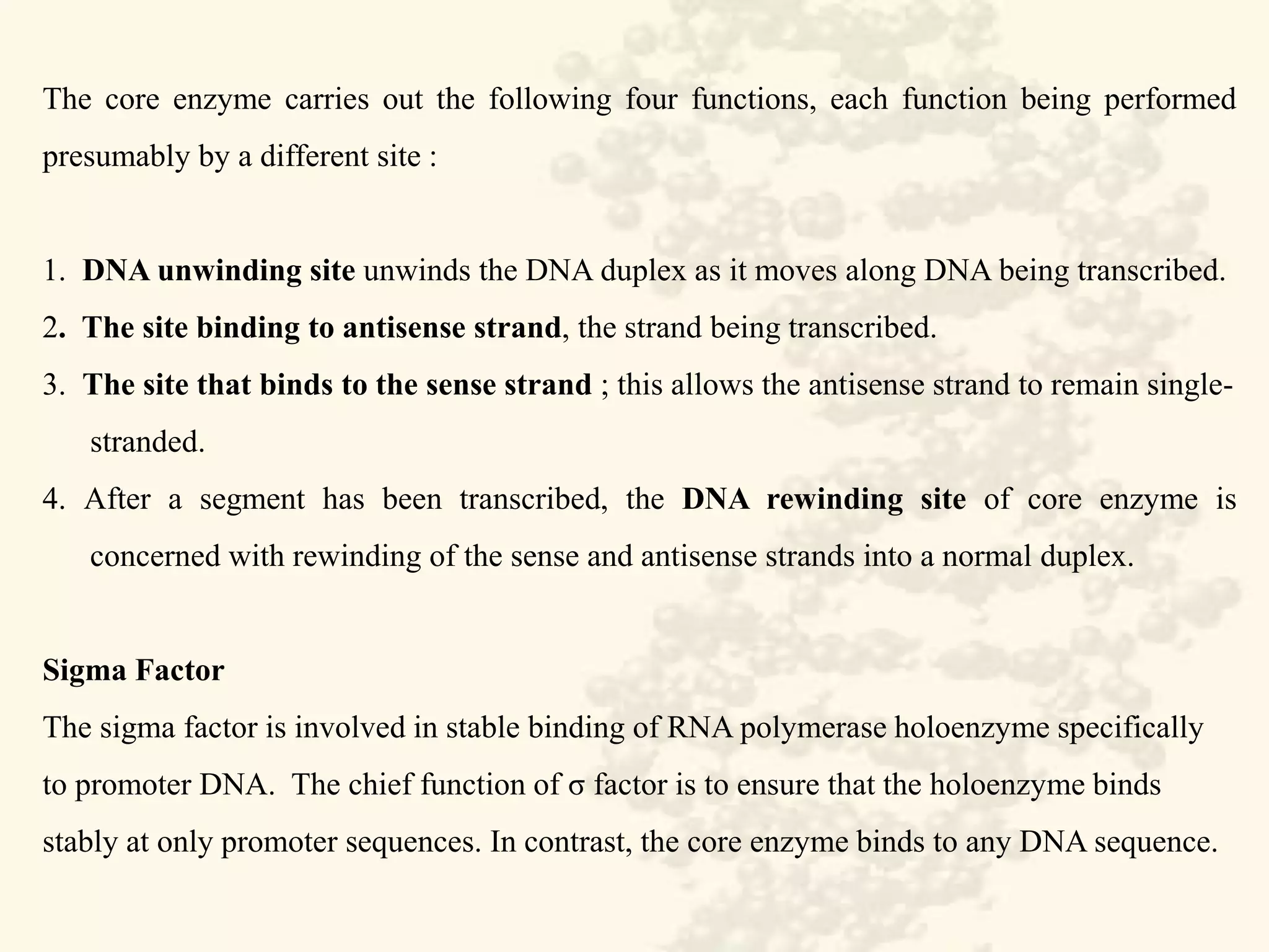 Role of DNA and RNA in Protein Synthesis | PPTX | Biological Sciences ...
