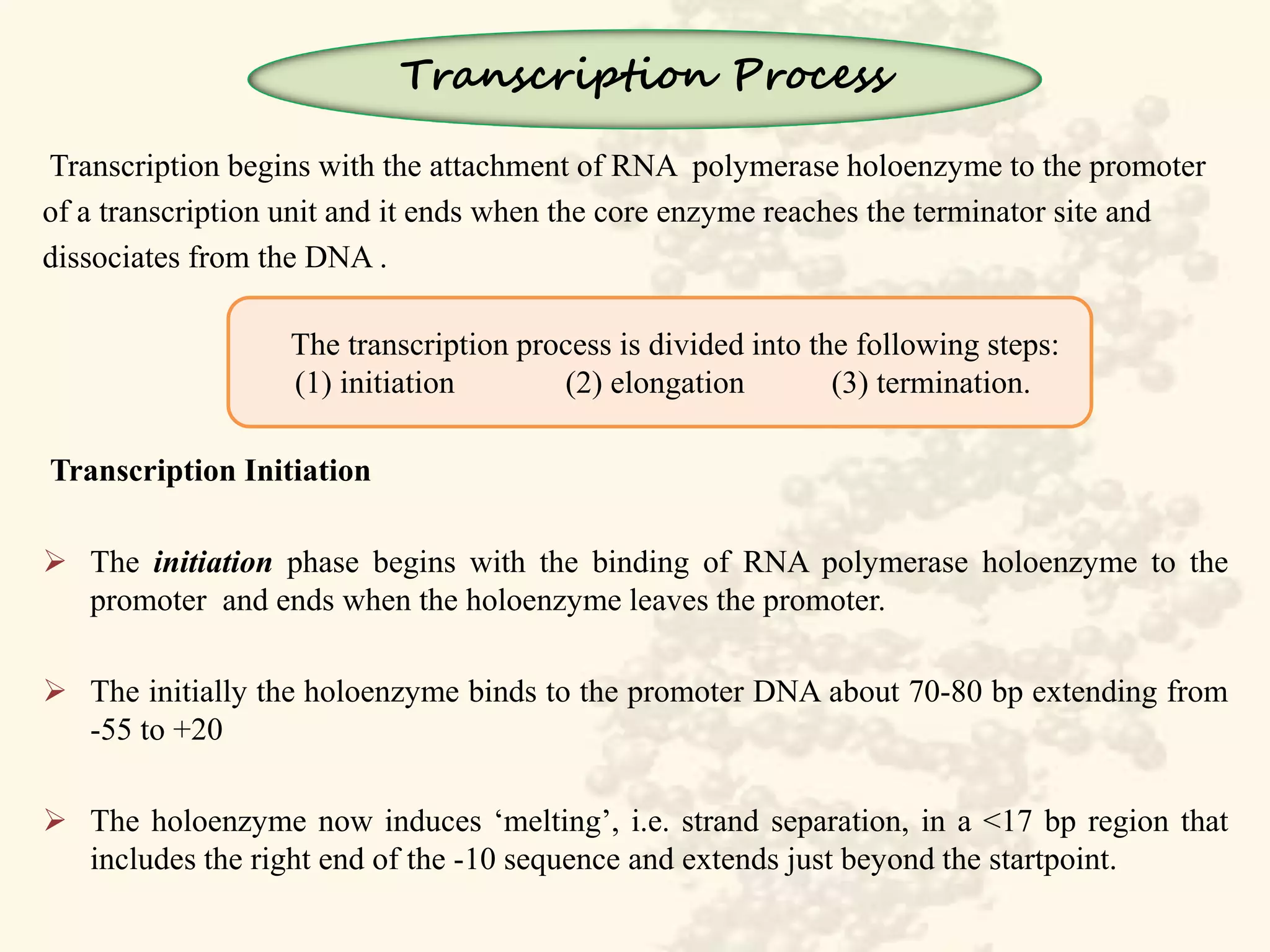 Role of DNA and RNA in Protein Synthesis | PPTX