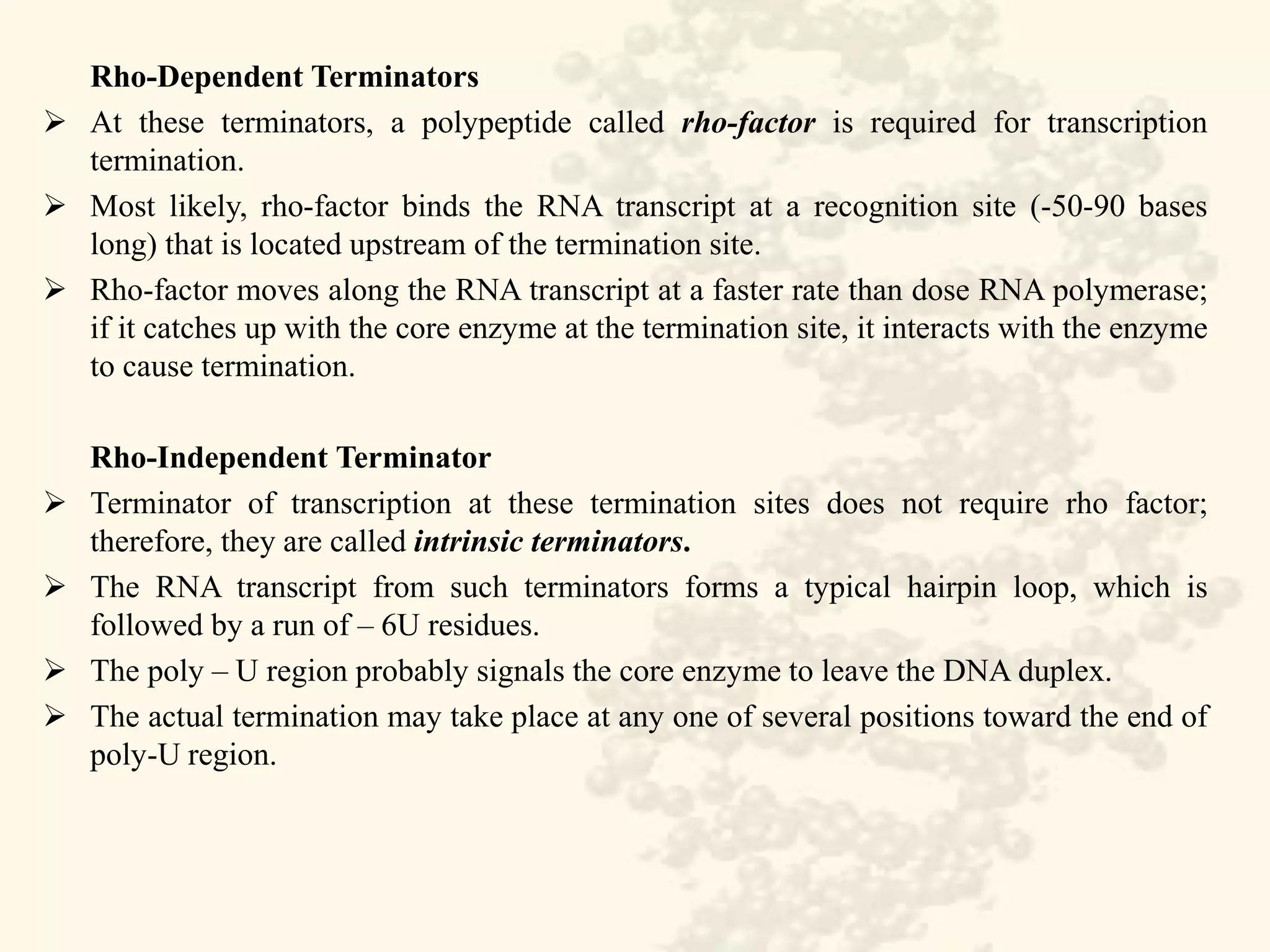 Role of DNA and RNA in Protein Synthesis | PPTX