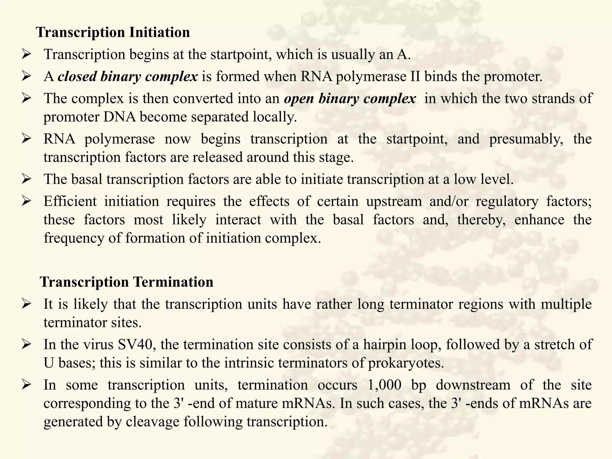 Role of DNA and RNA in Protein Synthesis | PPTX