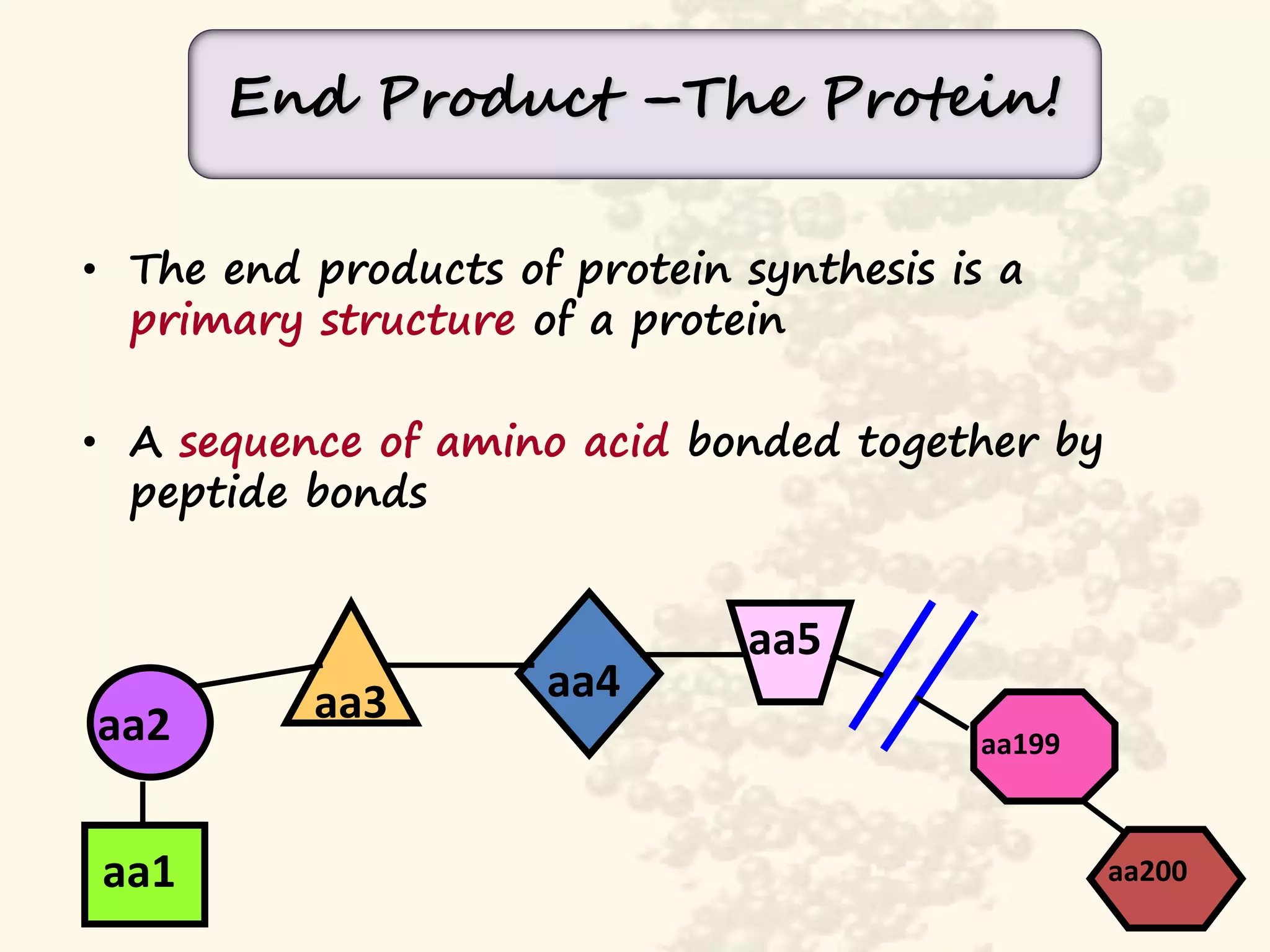 Role of DNA and RNA in Protein Synthesis | PPTX
