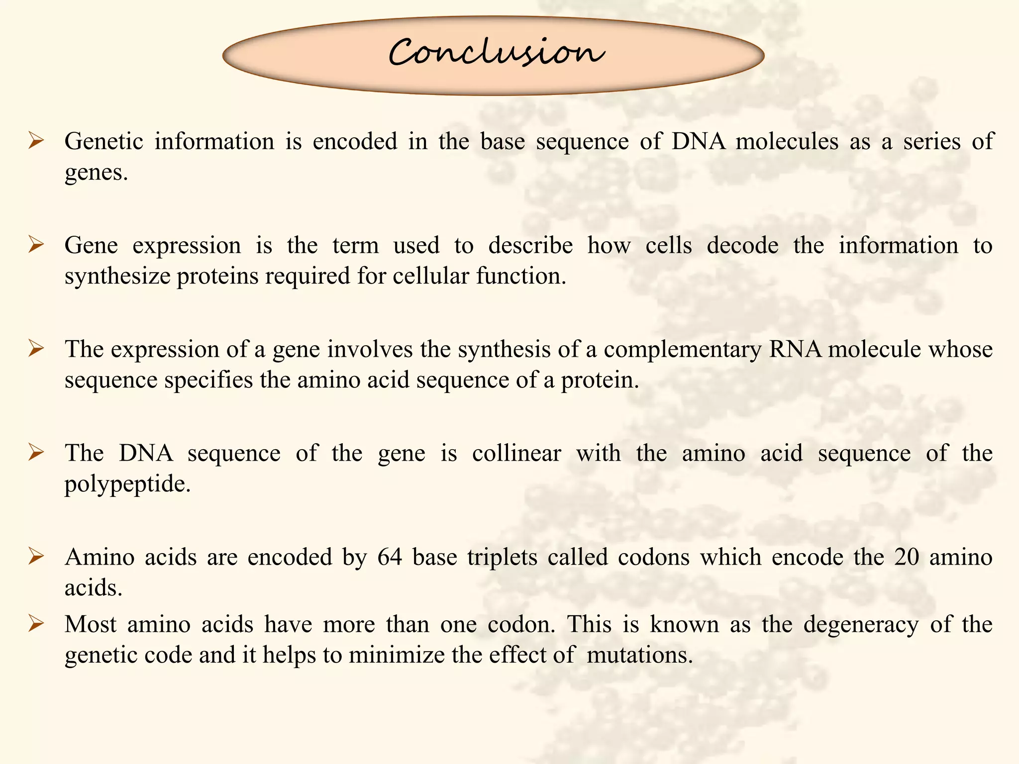 Role of DNA and RNA in Protein Synthesis | PPTX
