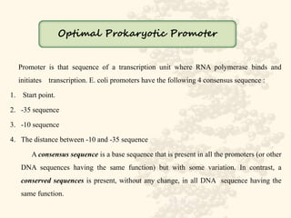 Role of DNA and RNA in Protein Synthesis | PPTX