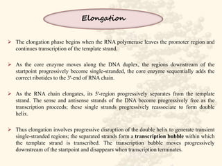 Role of DNA and RNA in Protein Synthesis | PPTX