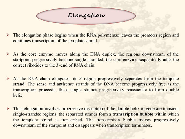 Role of DNA and RNA in Protein Synthesis | PPTX | Biological Sciences ...
