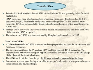 Role of DNA and RNA in Protein Synthesis | PPTX | Biological Sciences ...