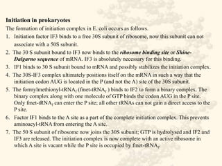 Role of DNA and RNA in Protein Synthesis | PPTX