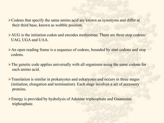 Role of DNA and RNA in Protein Synthesis | PPTX | Biological Sciences ...