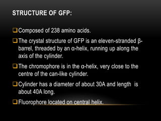 Flourescent Proteins and its Applications in Cell biology | PPTX