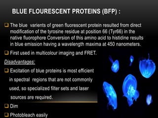 Flourescent Proteins and its Applications in Cell biology | PPTX