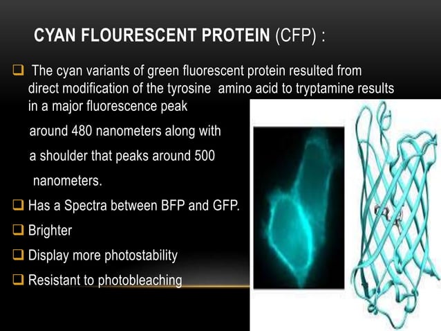 Flourescent Proteins and its Applications in Cell biology | PPTX